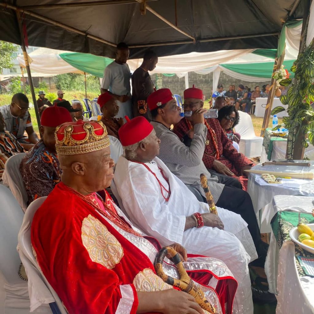 DR. NWACHUKWU ANAKWENZE TRACES IGBO'S INGENUITY, RESOURCEFULNESS TO ...